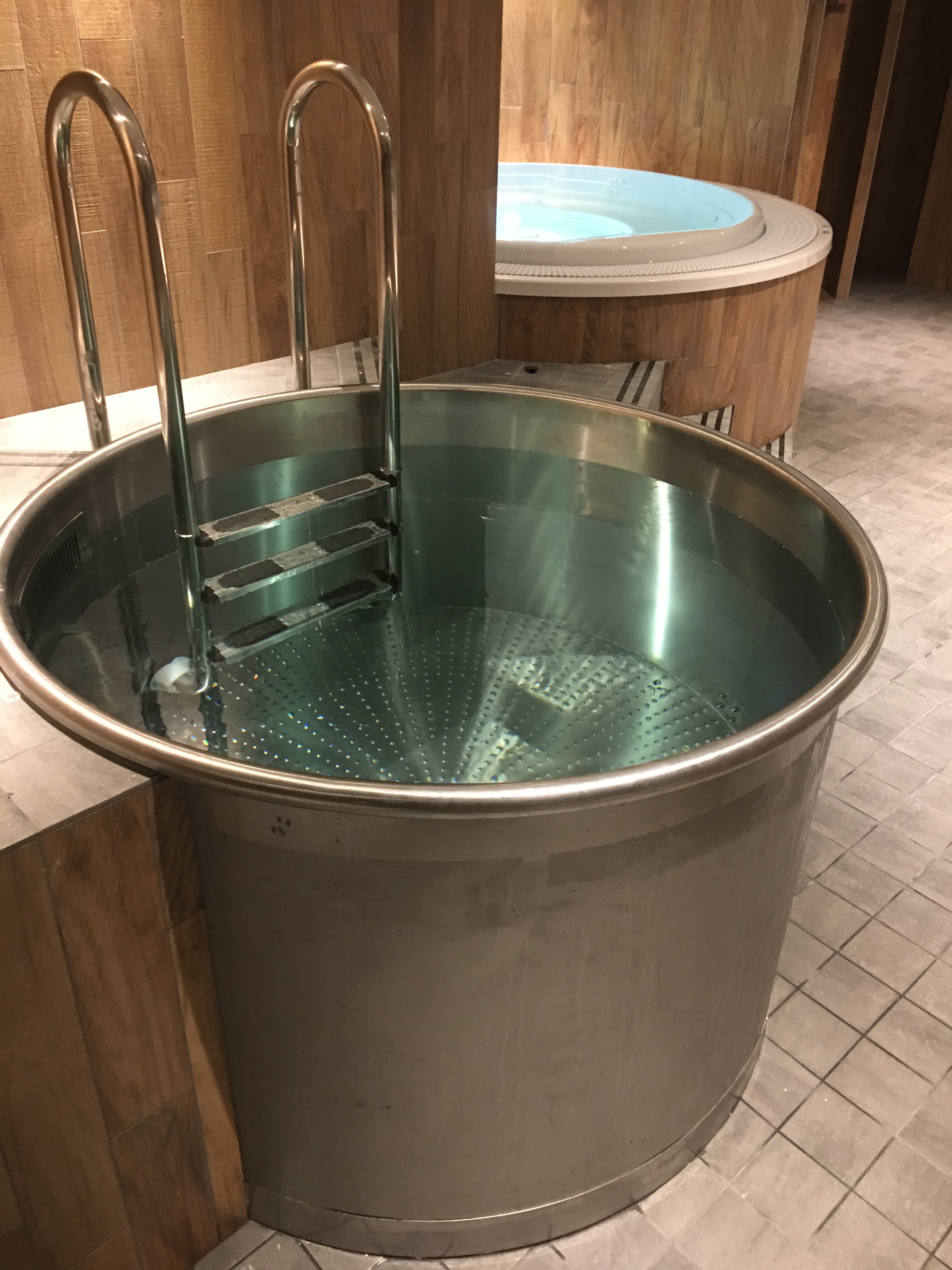 icmArchitectures Champagny Bain froid | icmA